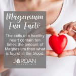 Magnesium Fun Facts – JE Library